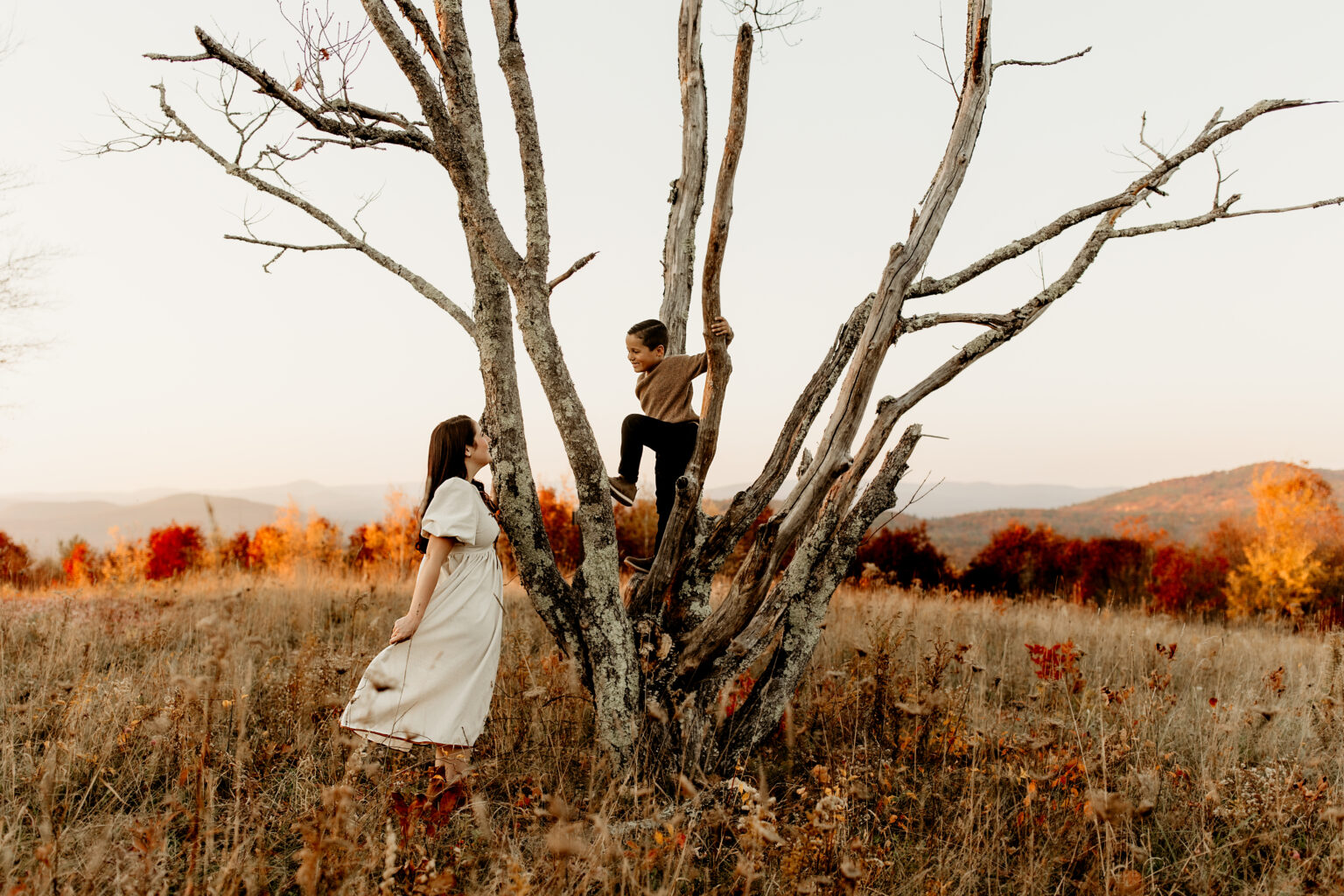 NH Family Photographer - cassieleephotographs.com